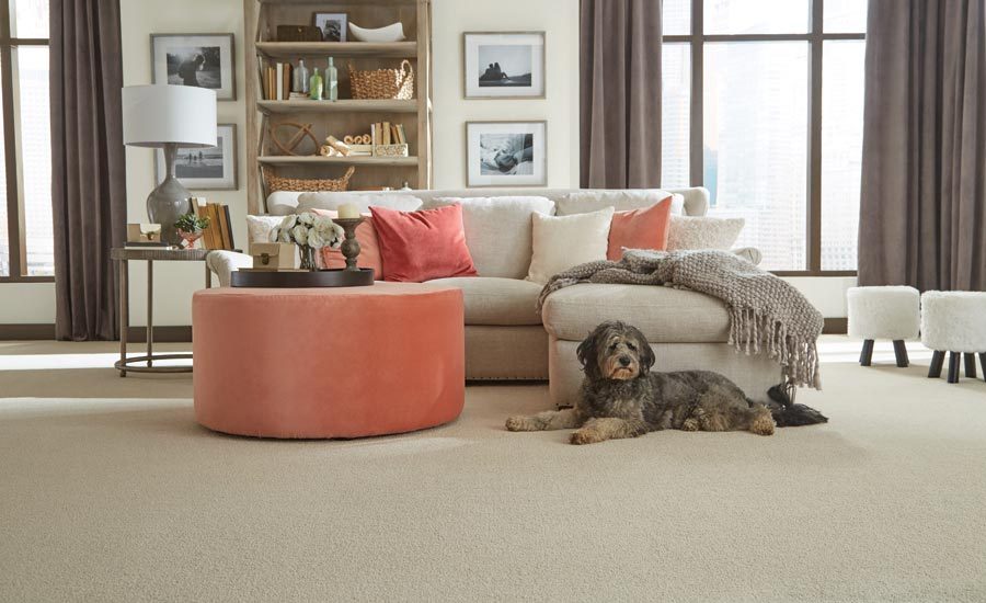 Advances in Soft Surfaces | 2018-06-05 | FLOOR Trends & Installation